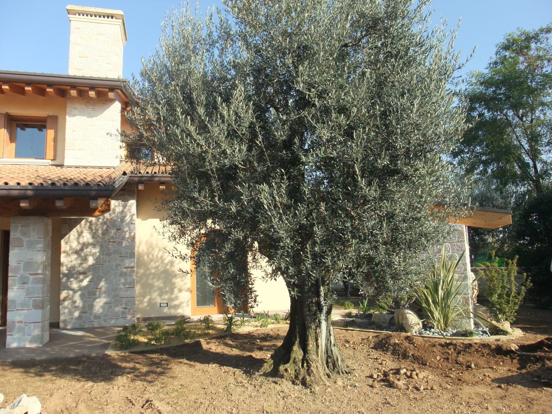 When Nature meets Design| Loria (TV) | Vivaio Porcellato