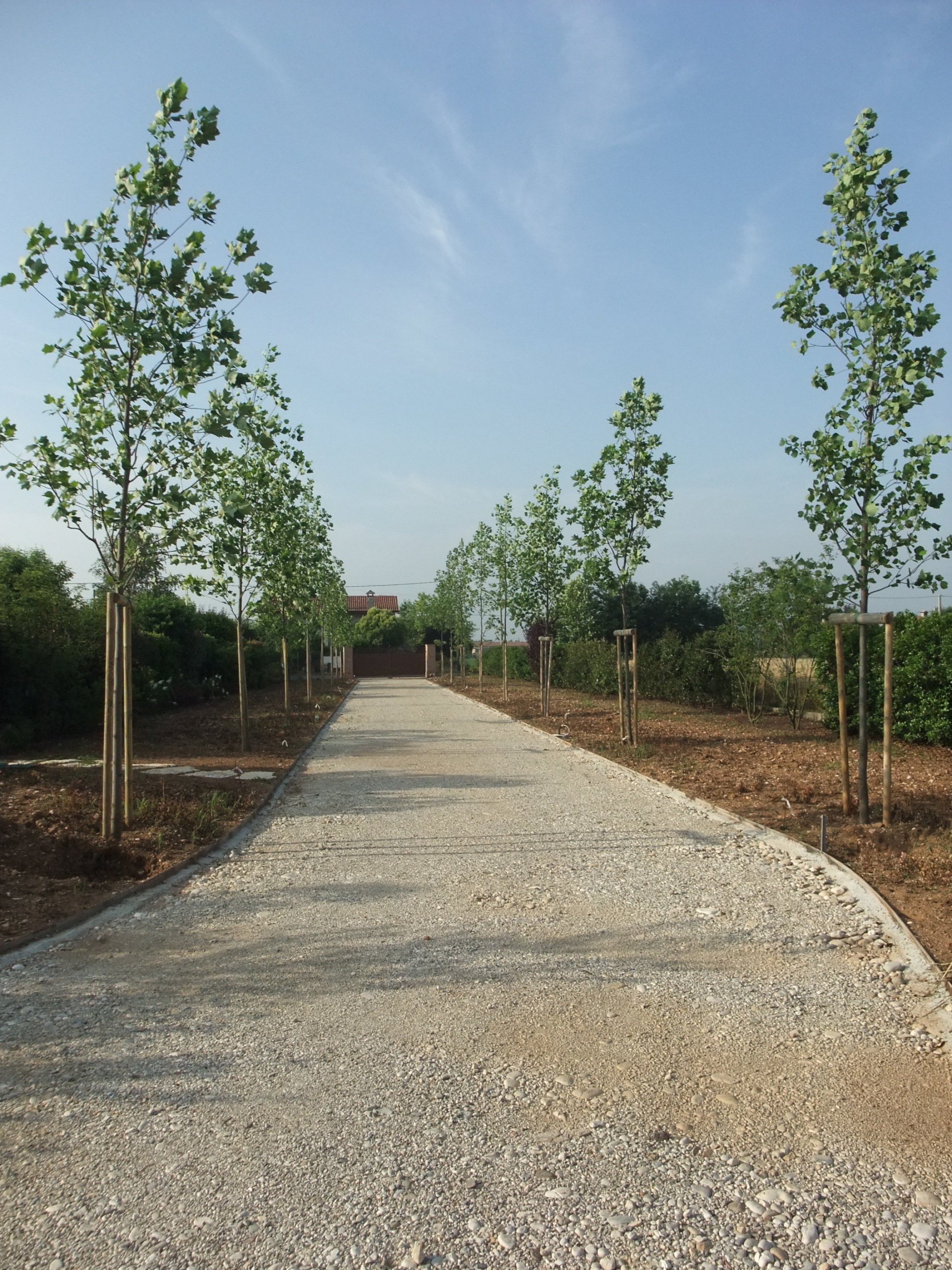 When Nature meets Design| Loria (TV) | Vivaio Porcellato