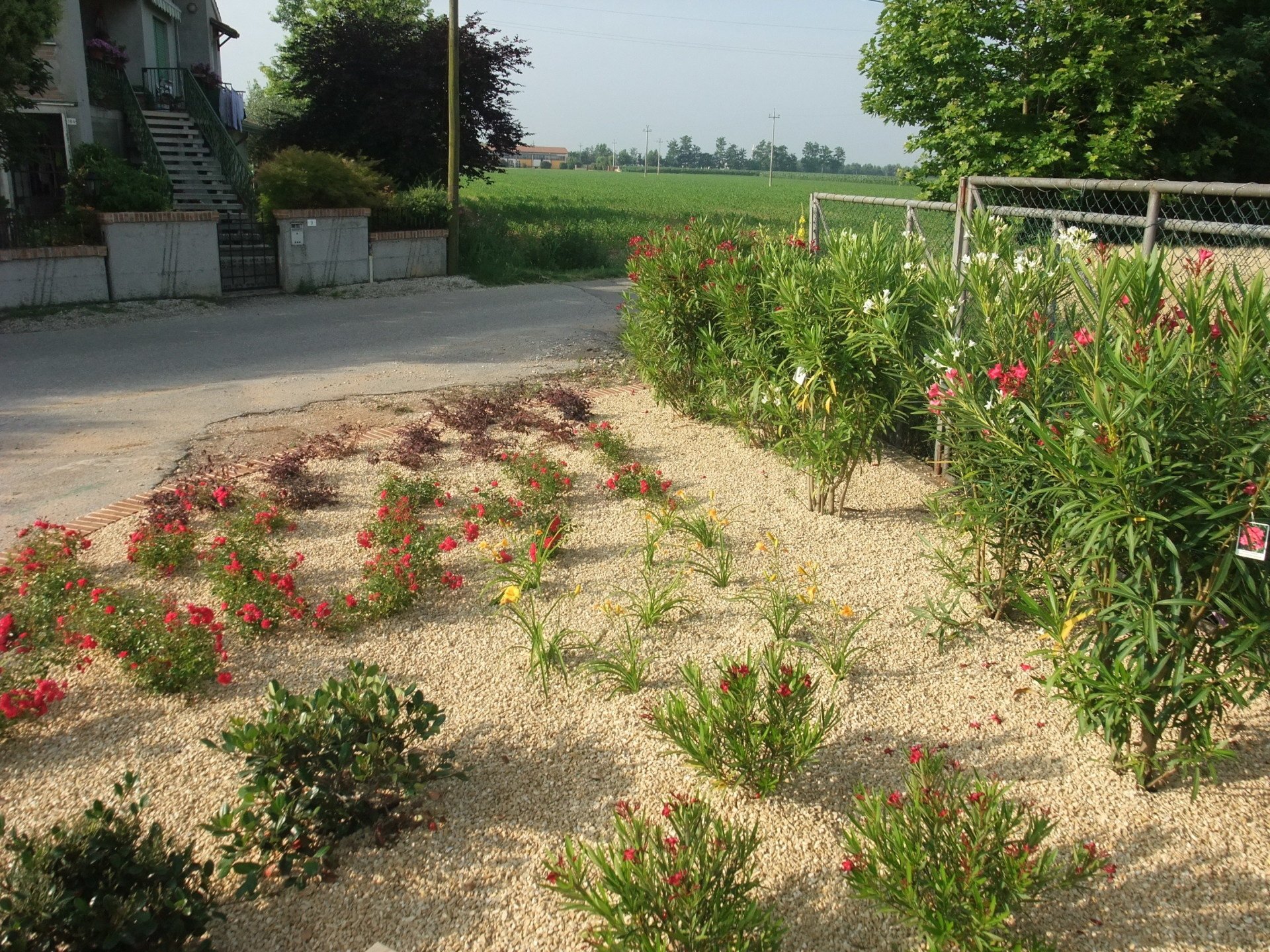 When Nature meets Design| Loria (TV) | Vivaio Porcellato