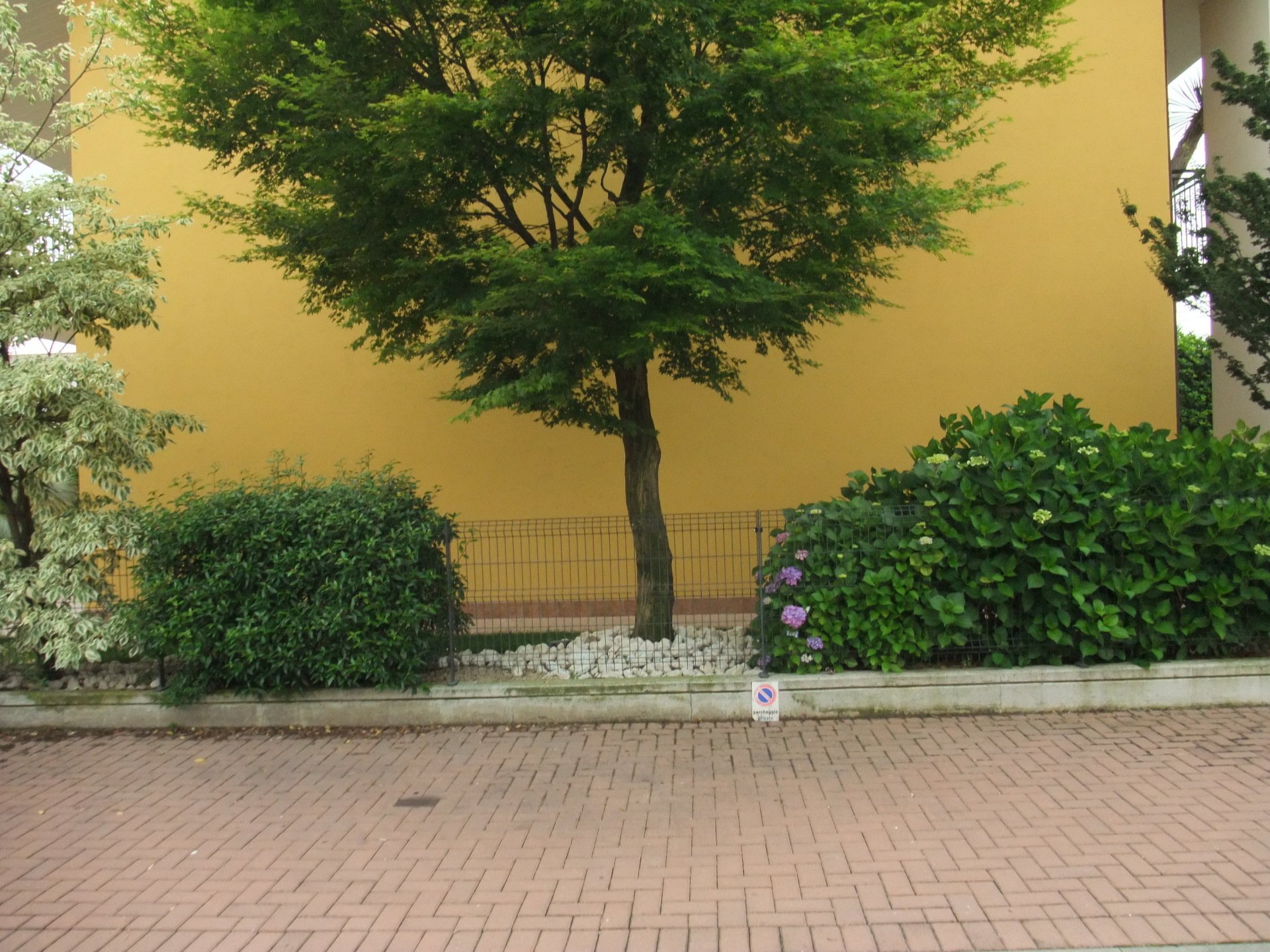 When Nature meets Design| Loria (TV) | Vivaio Porcellato