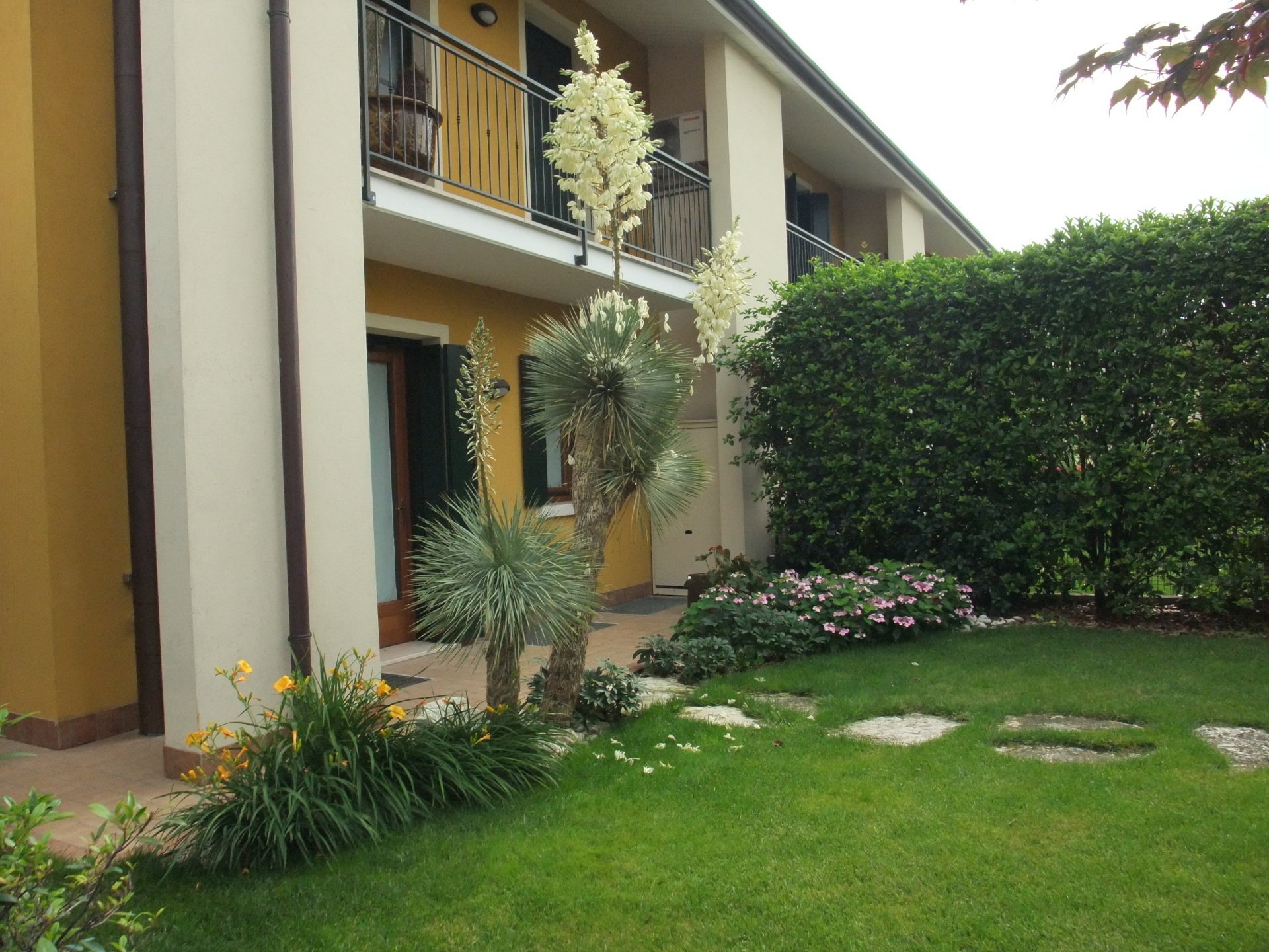 When Nature meets Design| Loria (TV) | Vivaio Porcellato