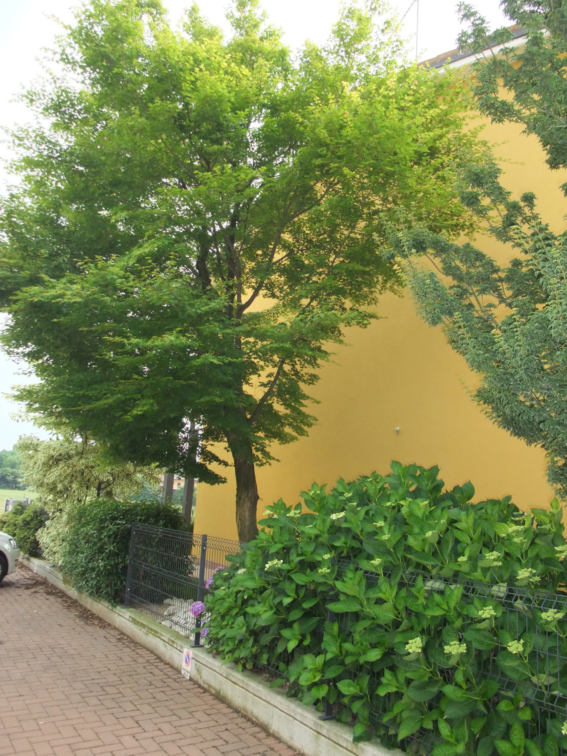 When Nature meets Design| Loria (TV) | Vivaio Porcellato