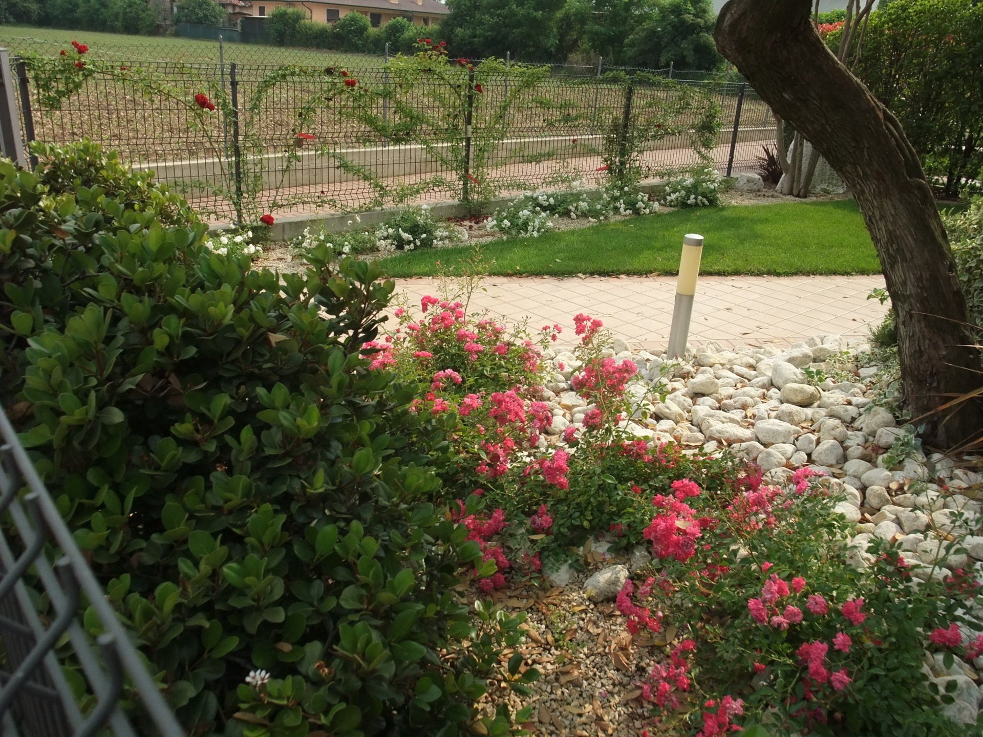 When Nature meets Design| Loria (TV) | Vivaio Porcellato