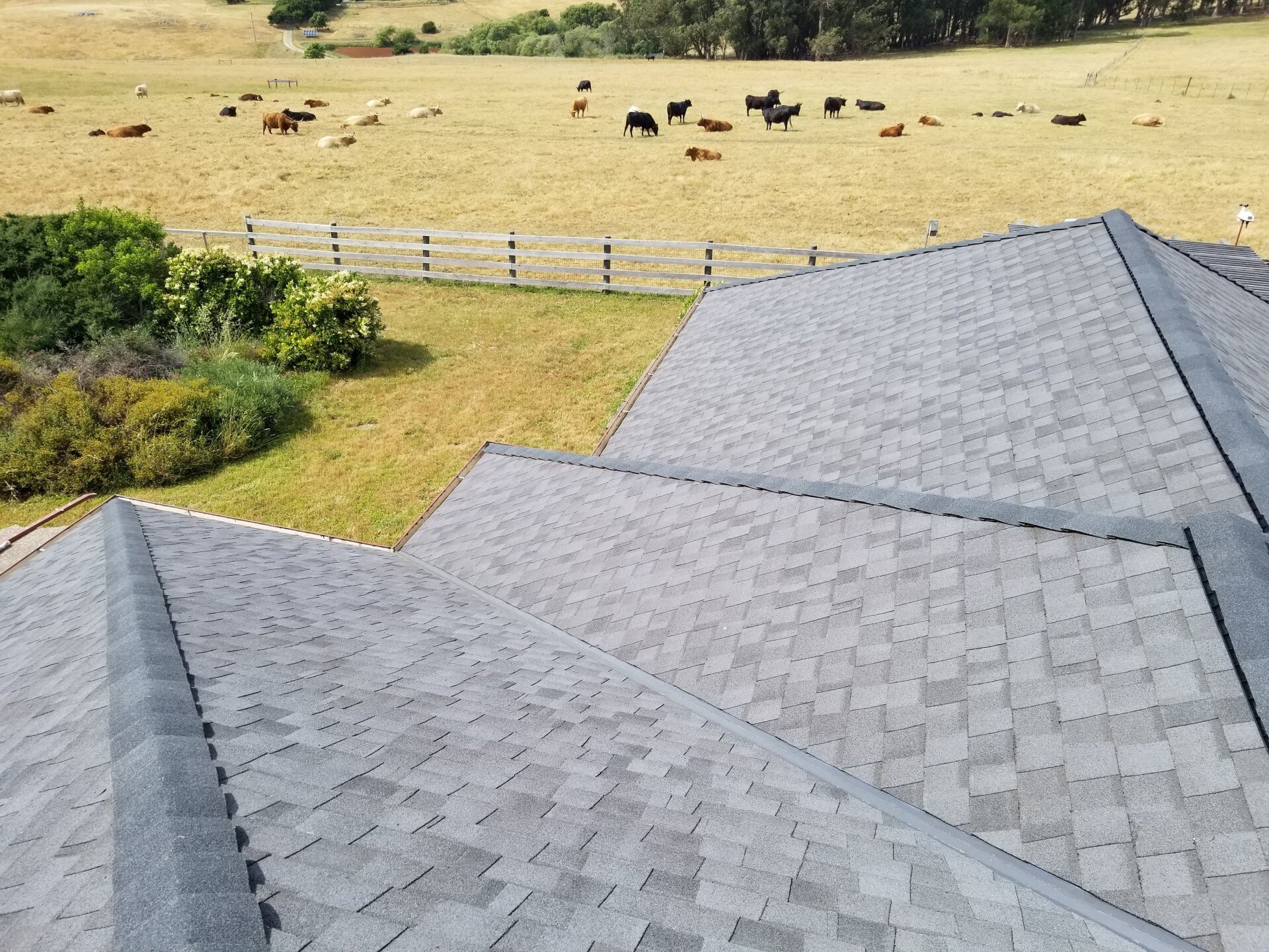 Roofing Contractor | Sebastapol, CA | Alpine Roofing