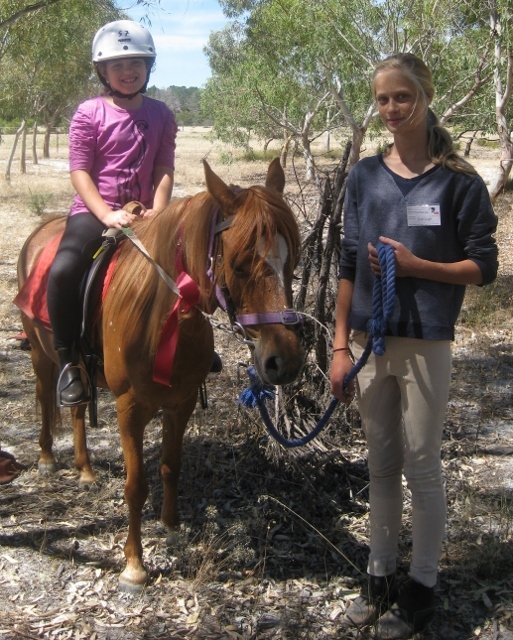 Get Involved at RDA Capricorn
