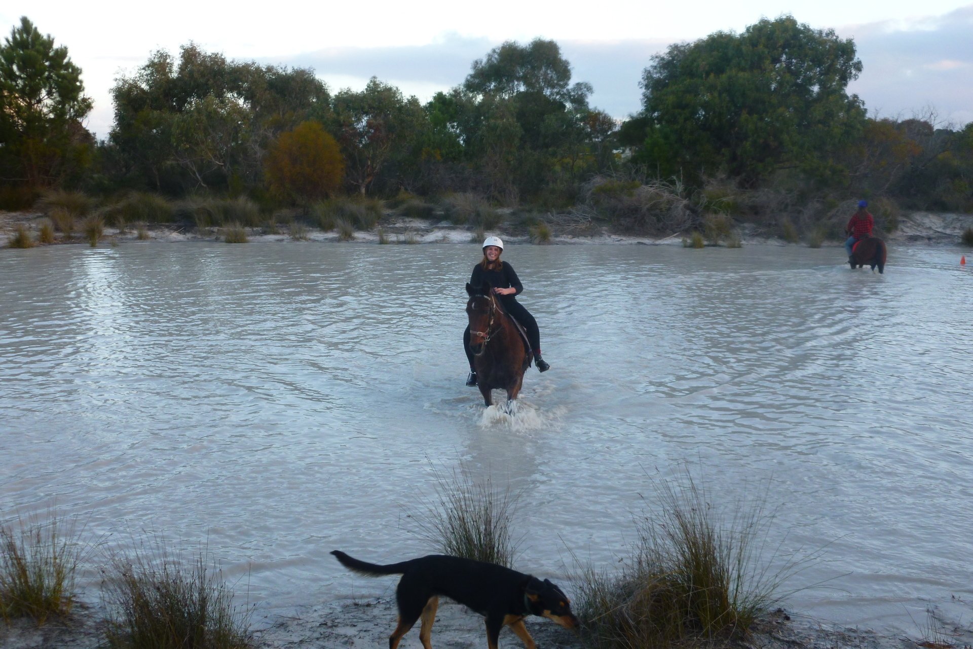 Get Involved at RDA Capricorn