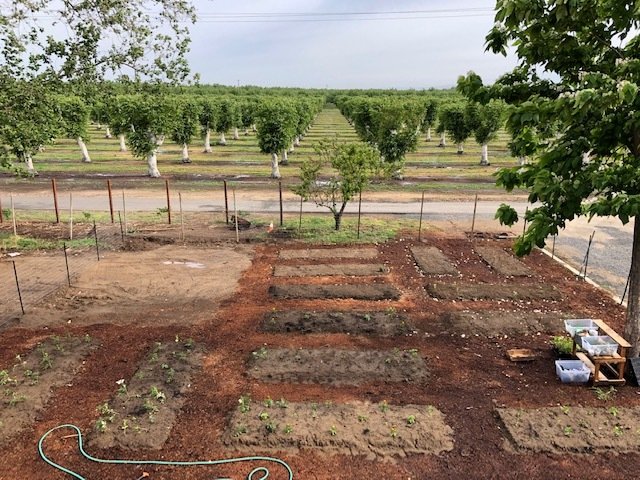 explore our family farm through the seasons