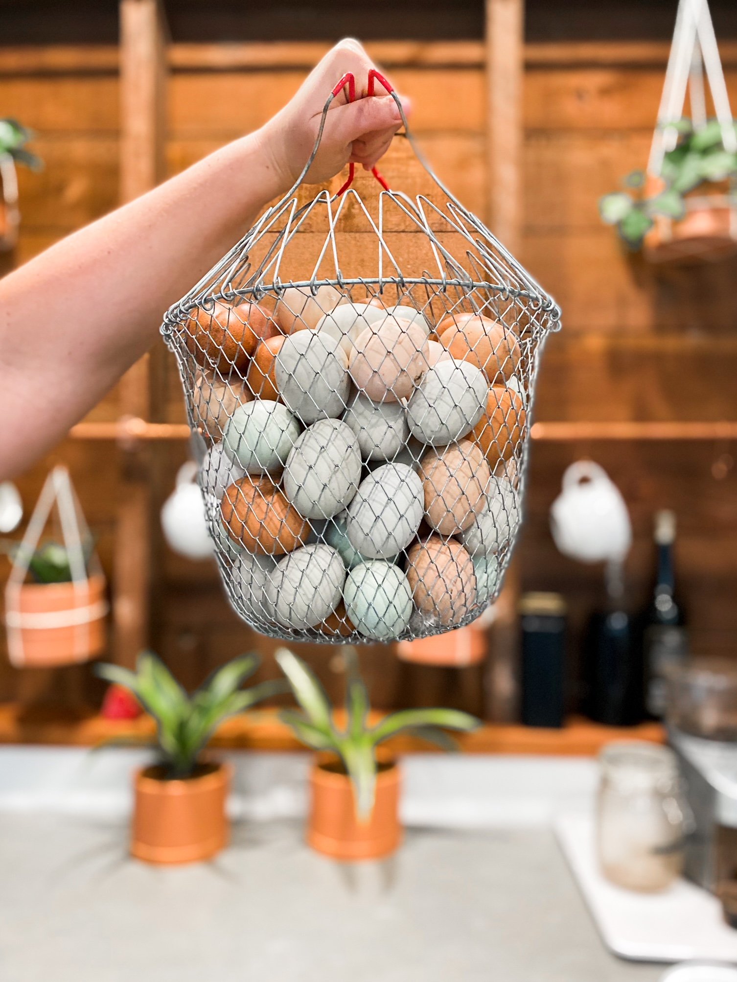 explore our family farm through the seasons