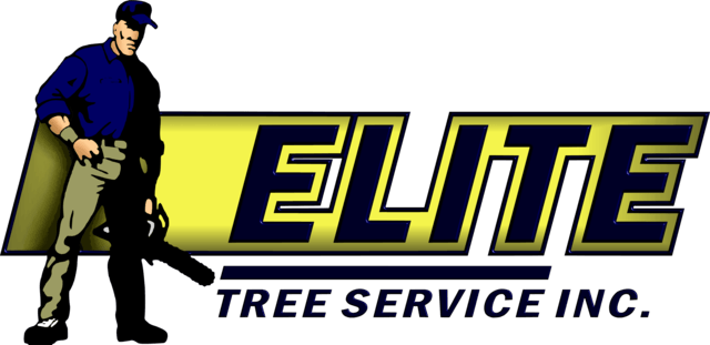 Expert Tree Service in Columbus GA - Elite Tree Service