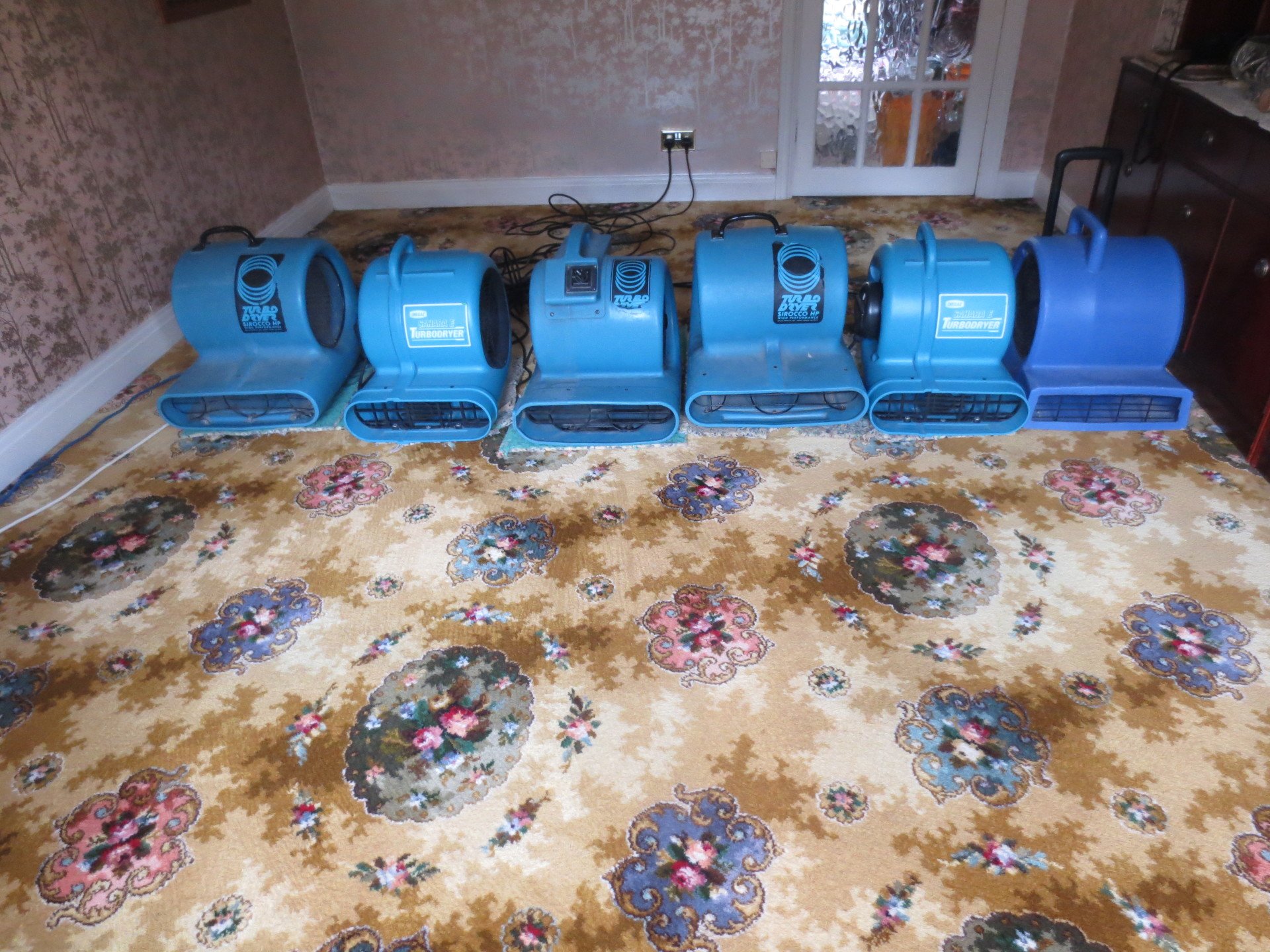 Professional carpet cleaning services | Extracta Carpet Cleaners