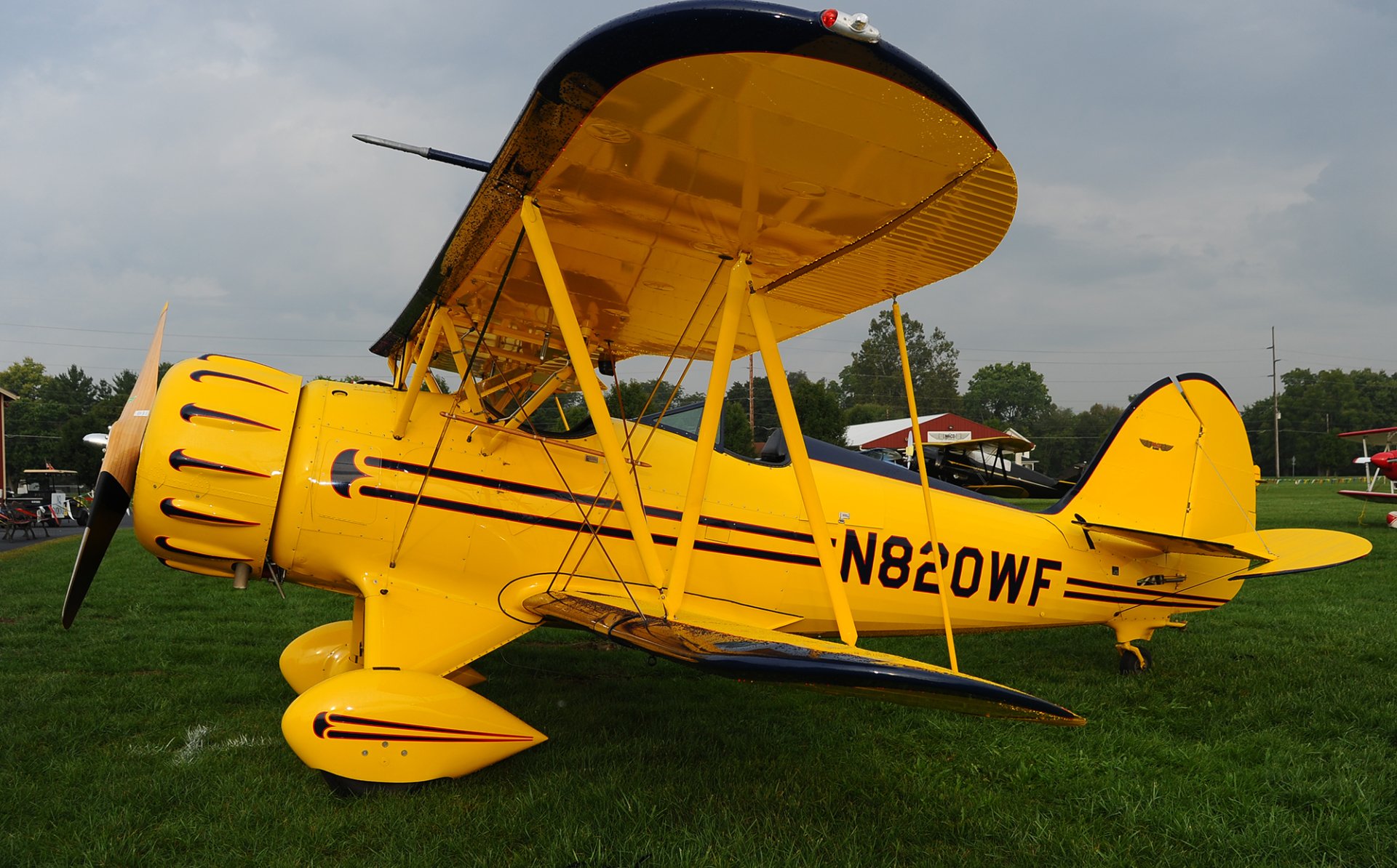 BIPLANE RIDES ON SUNNY!