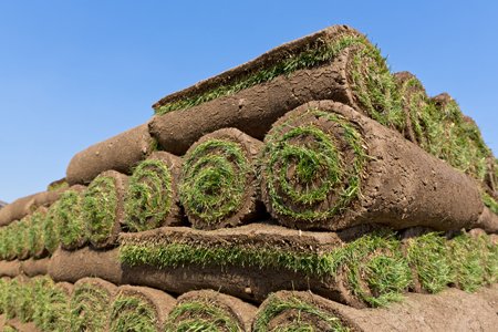 Rolls of turf | Blackfords Turf & Topsoil Ltd
