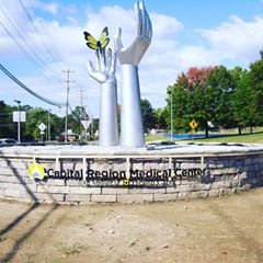 Bee Seen Signs Jefferson City