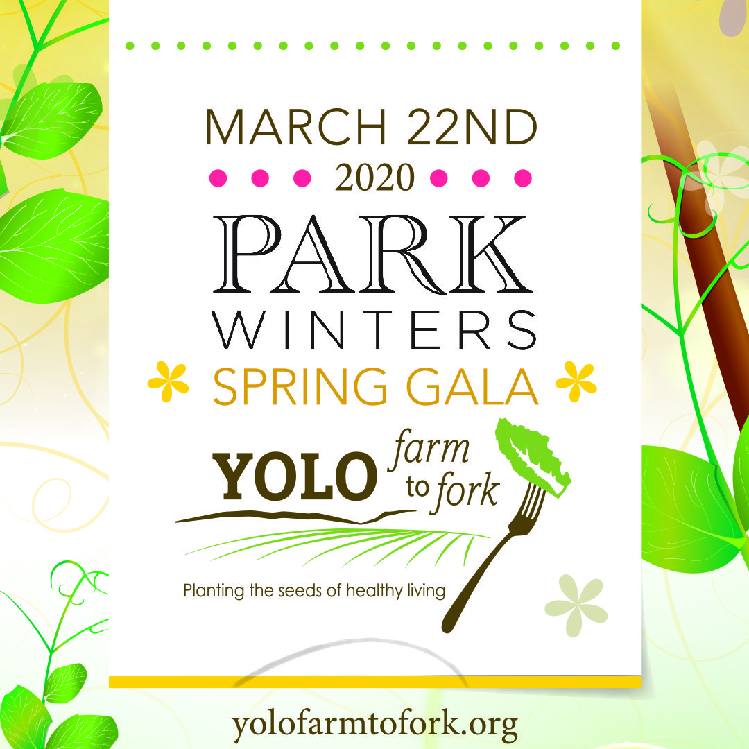 Home | Yolo Farm To Fork | Healthy Living | Yolo County