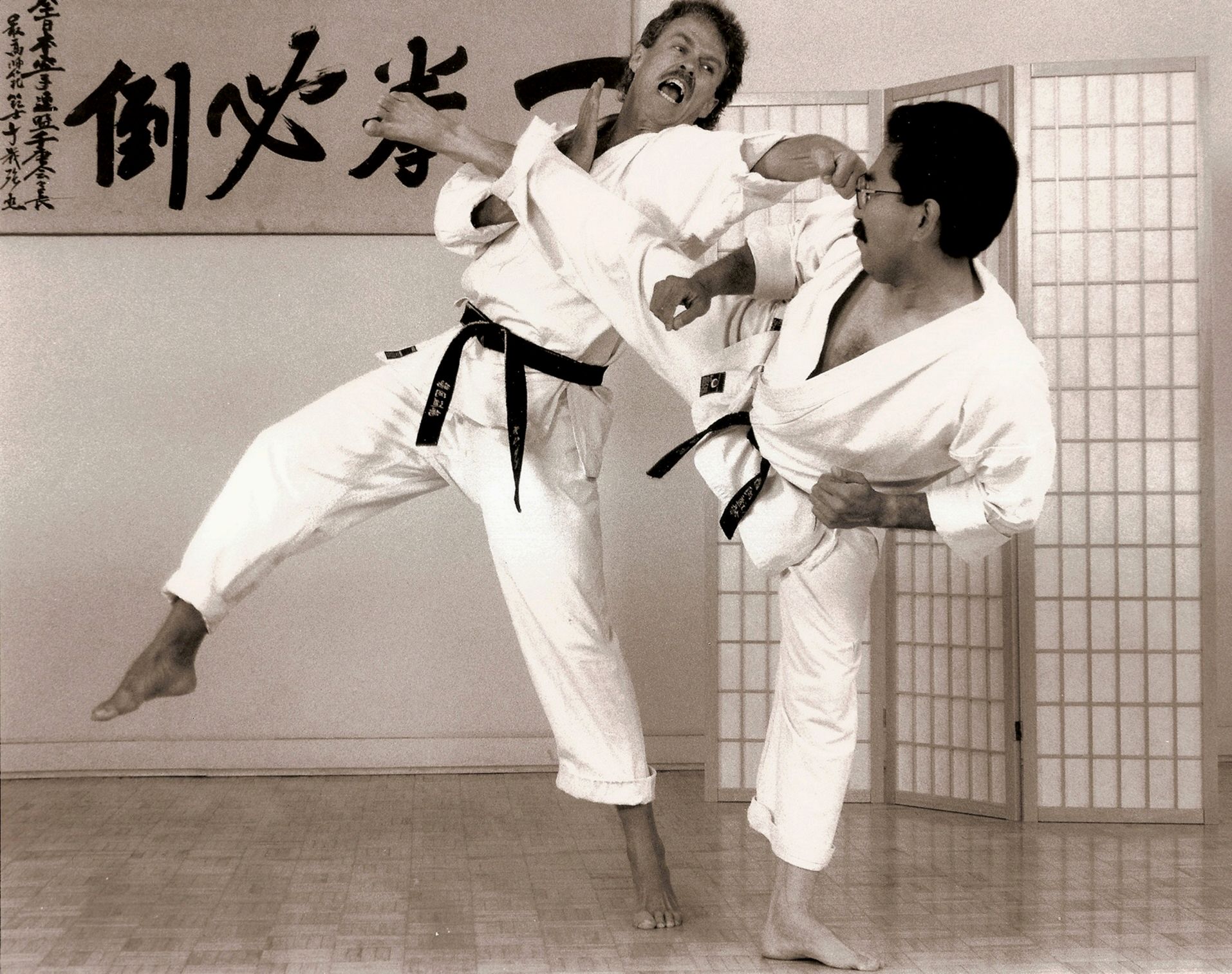 Forward Stance and Back Stance in Karate