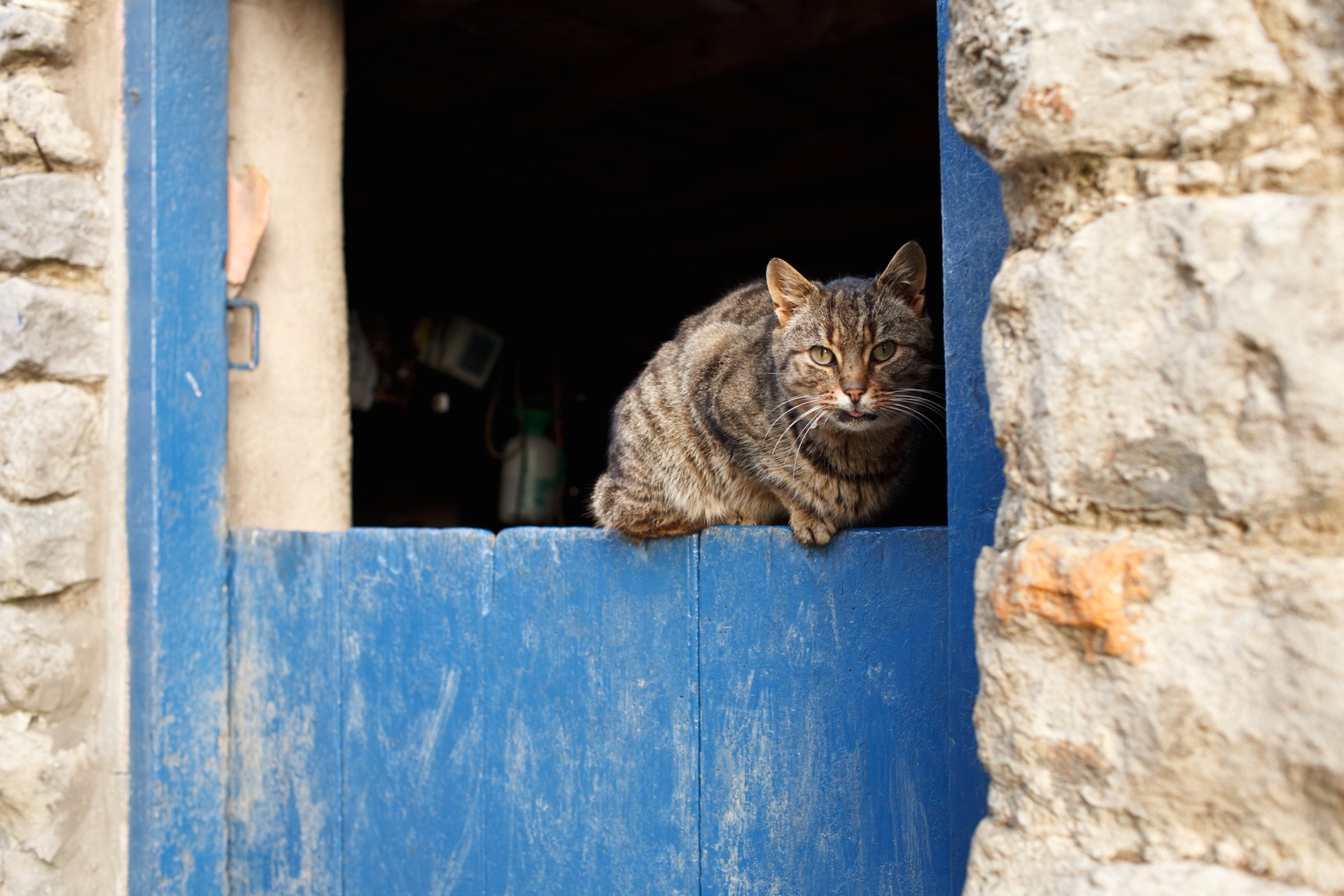 CONTACT :: Cliff Farm Holidays, Pickering, Sinnington, North Yorkshire ...