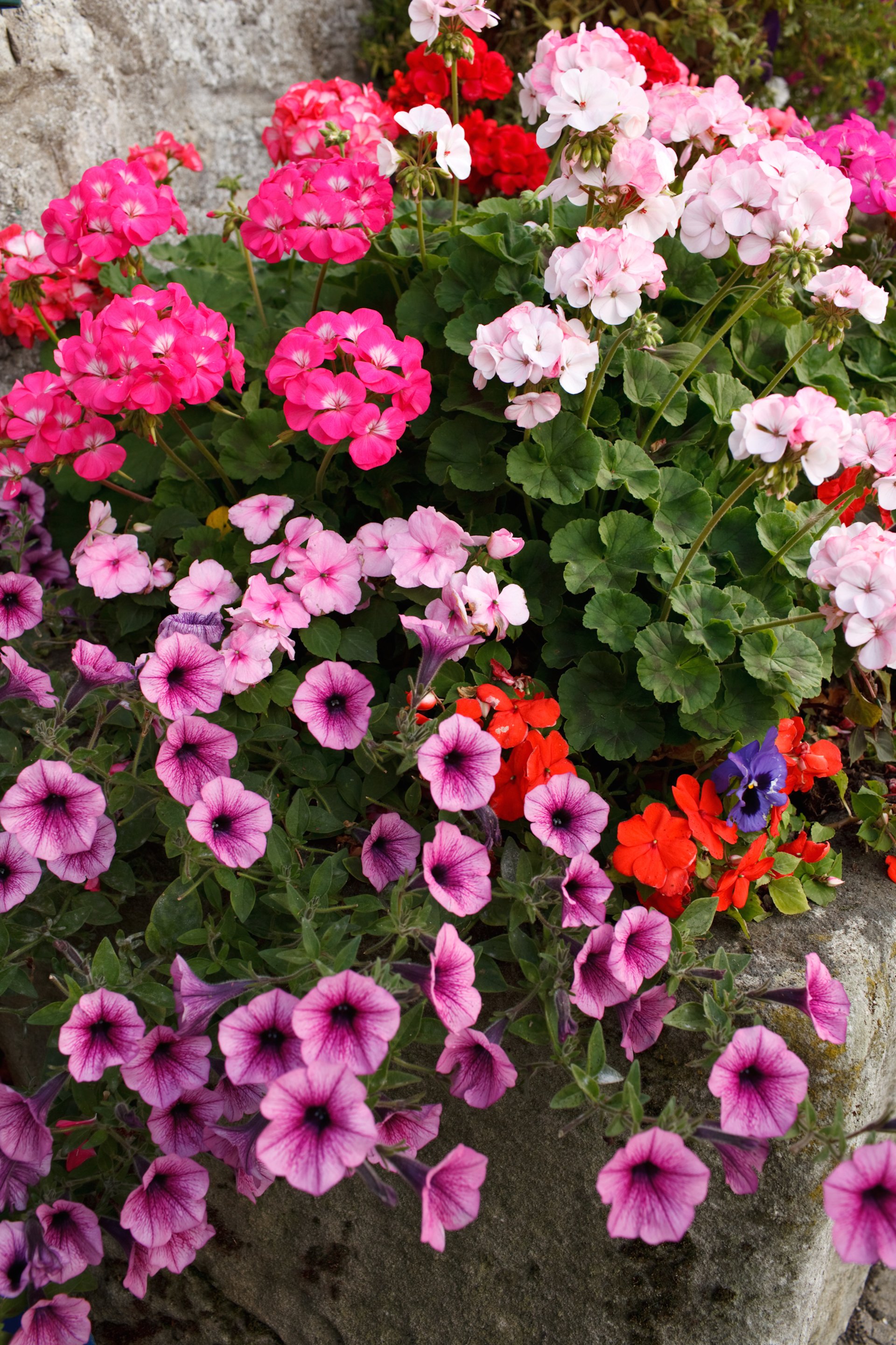 CONTACT :: Cliff Farm Holidays, Pickering, Sinnington, North Yorkshire ...