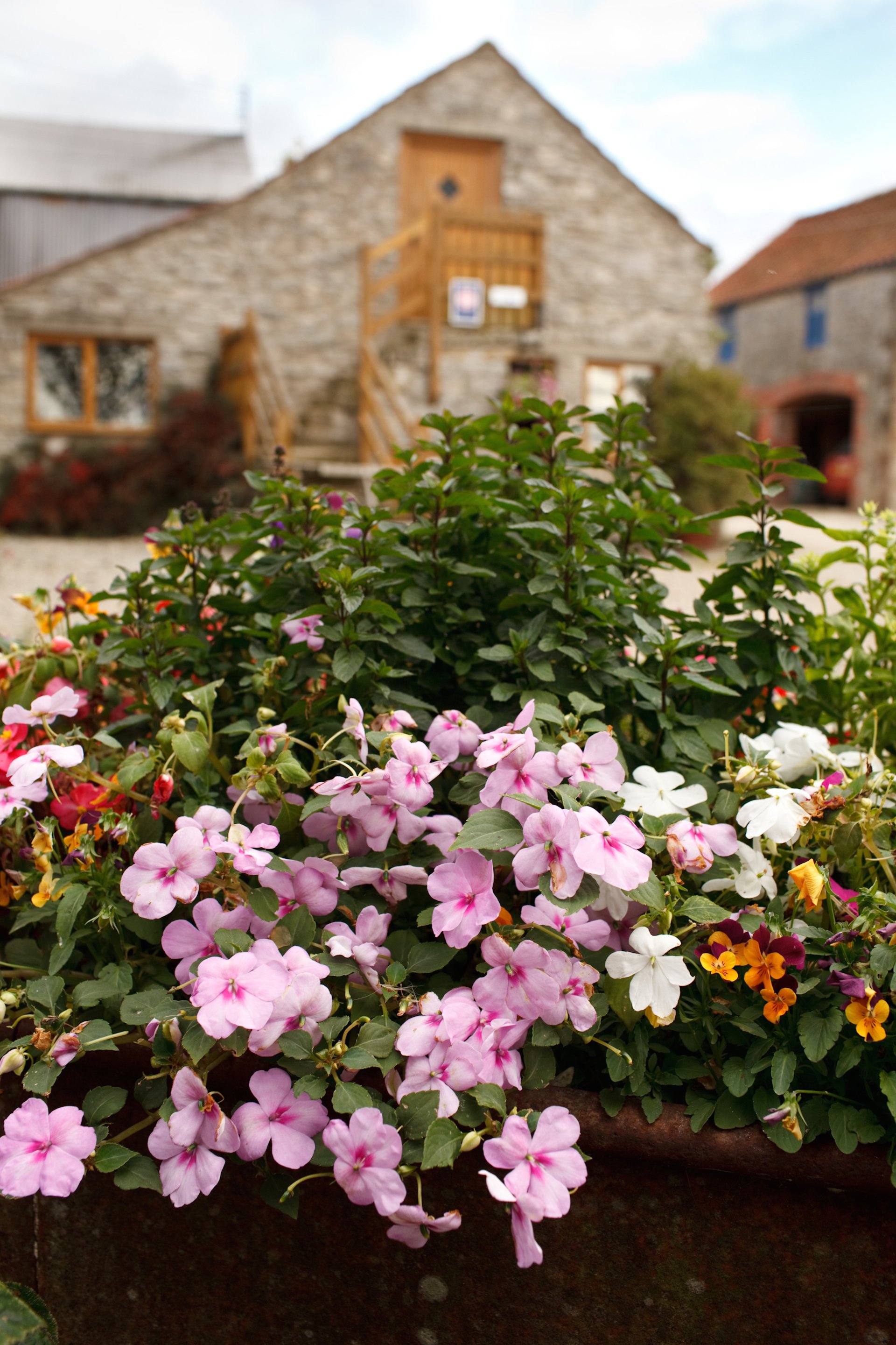 CONTACT :: Cliff Farm Holidays, Sinnington, North Yorkshire - Caravan ...