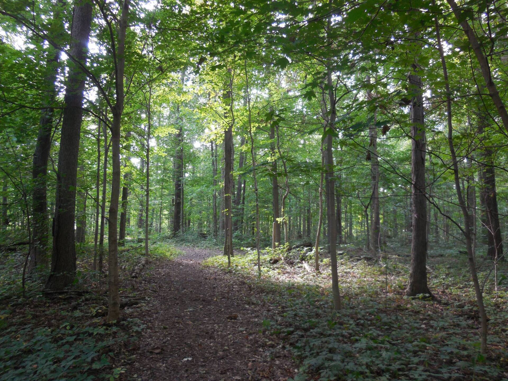 Dr. Elizabeth Yahl Kuffner Nature Preserve | HTPD