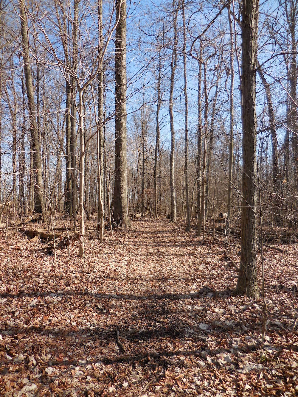 Dr. Elizabeth Yahl Kuffner Nature Preserve | HTPD