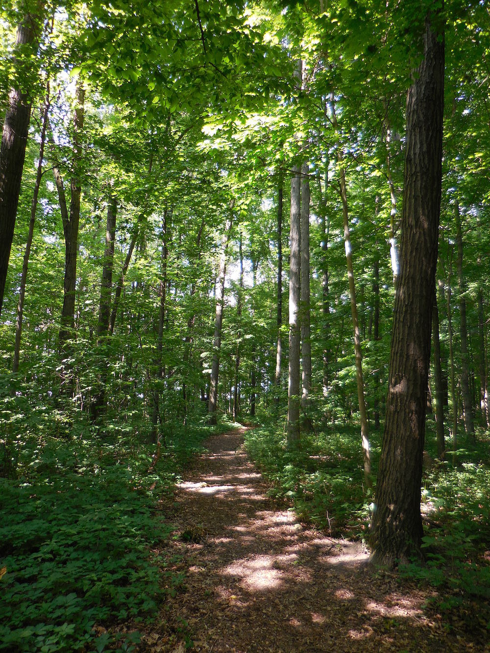 Dr. Elizabeth Yahl Kuffner Nature Preserve | HTPD