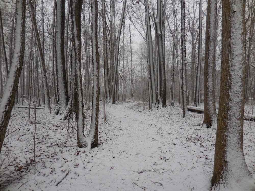 Dr. Elizabeth Yahl Kuffner Nature Preserve | HTPD