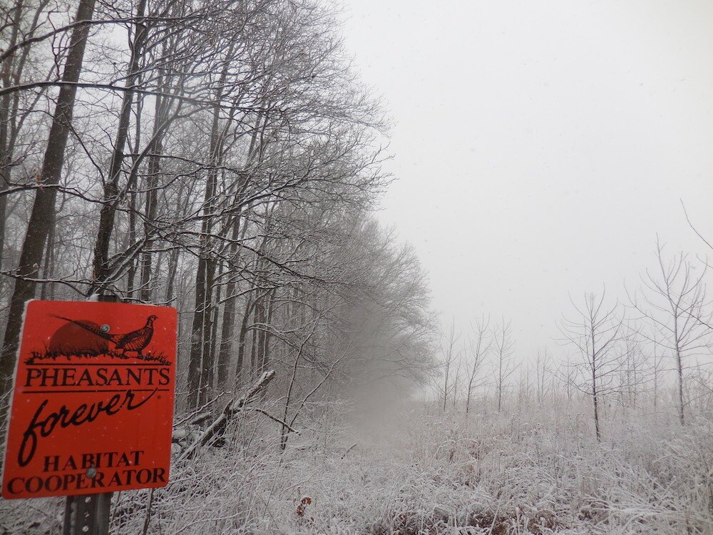 Dr. Elizabeth Yahl Kuffner Nature Preserve | HTPD