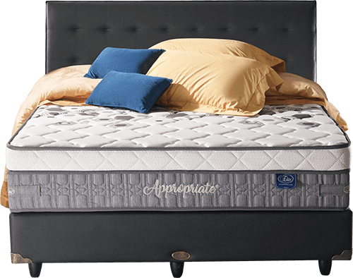 Elite Springbed - The Comfortable World