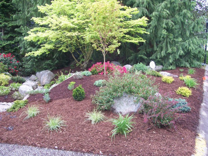Landscape & Garden Design | Bothell WA | Fancy Plants Gardens, INC