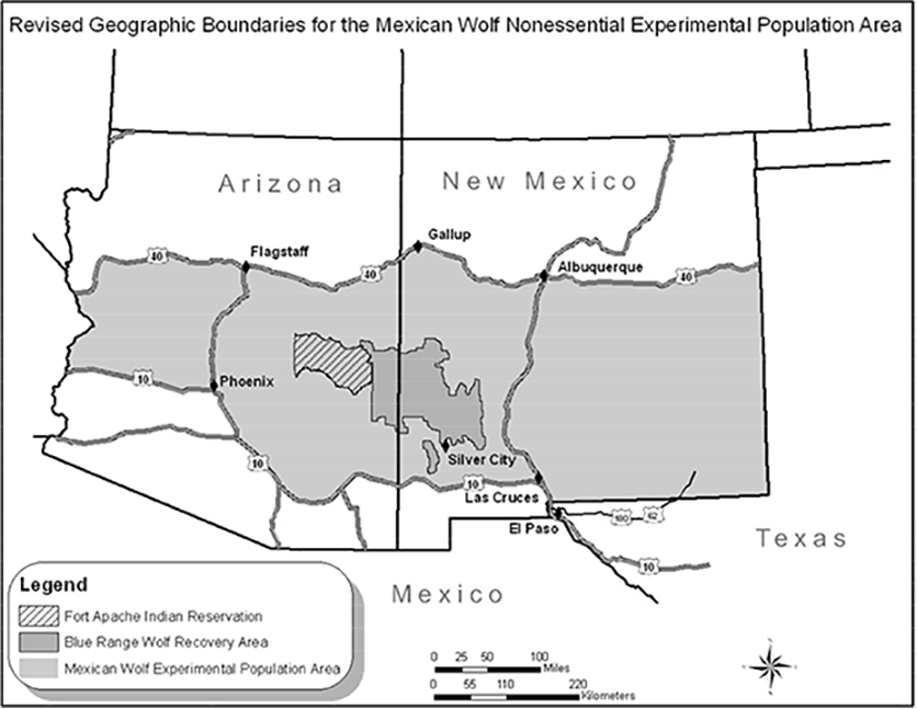Mexican Gray Wolf