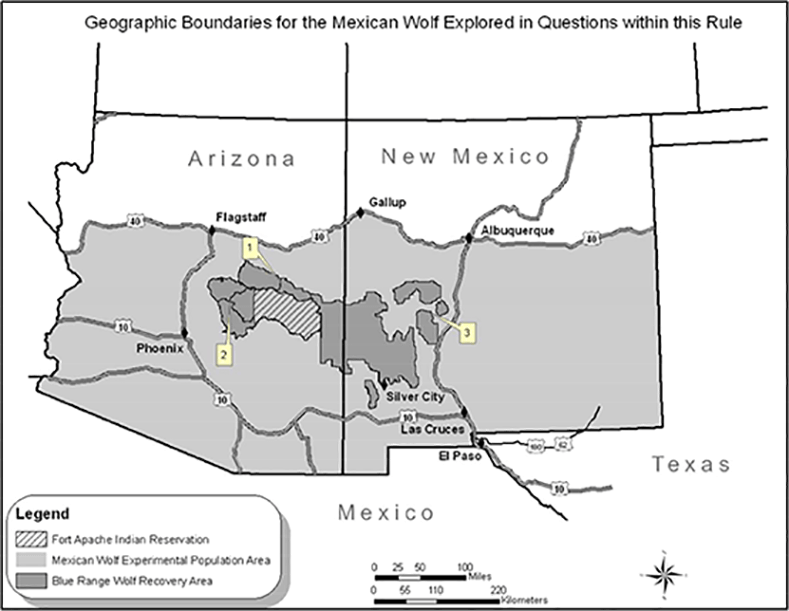 Mexican Gray Wolf