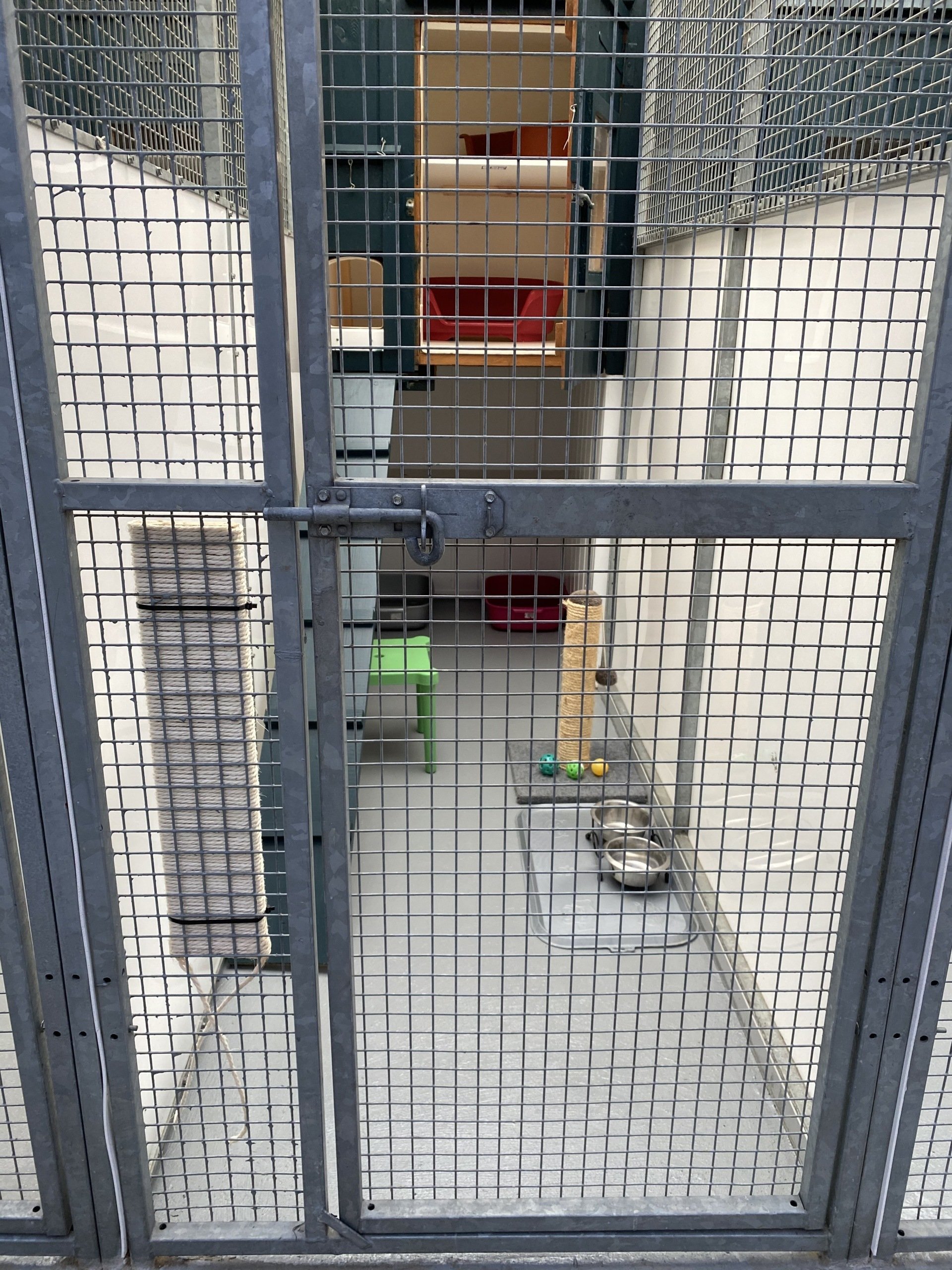 Pet Pals Boarding Cattery