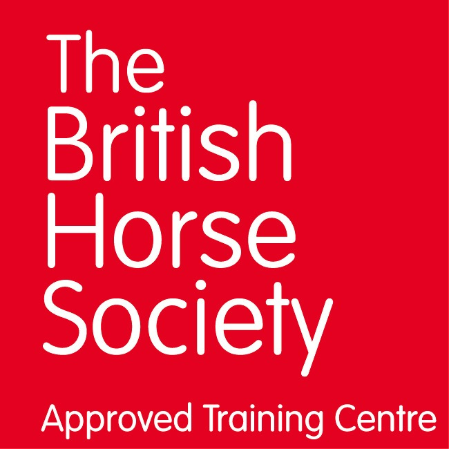 Back Lane Stables | Home | Horse Riding School | BHS Approved | Riding ...