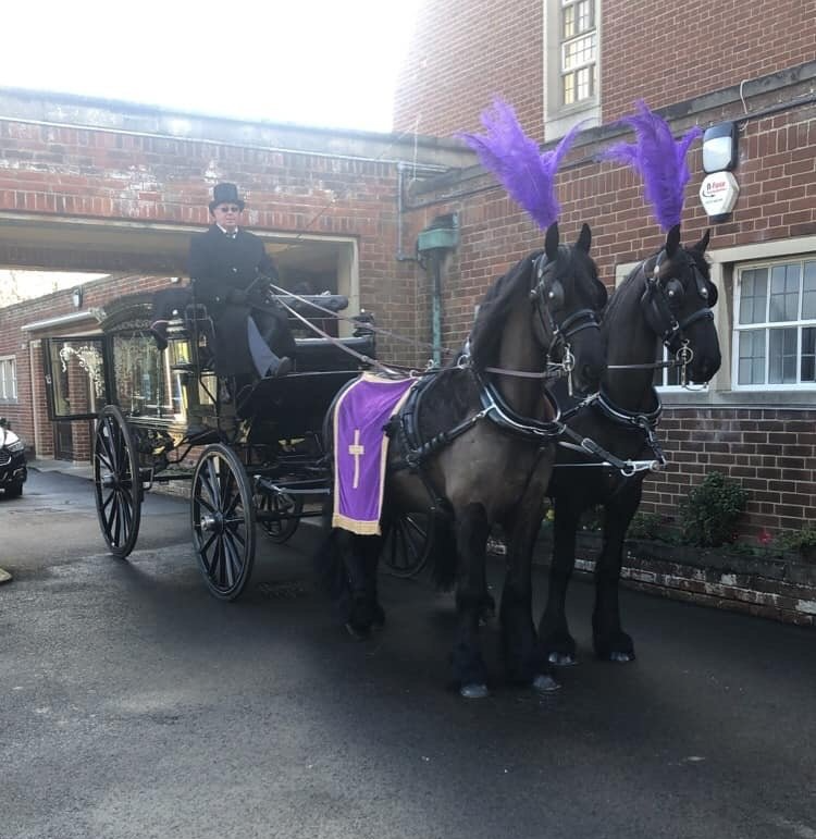Back Lane Stables | BHS Assessments | Horse Riding School | Riding ...