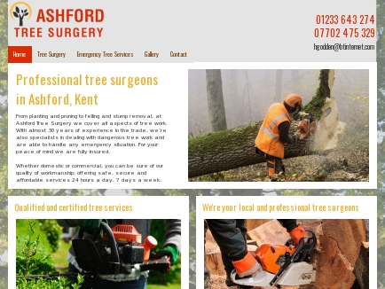 Professional tree surgeons in and around Kent by Ashford Tree Surgery