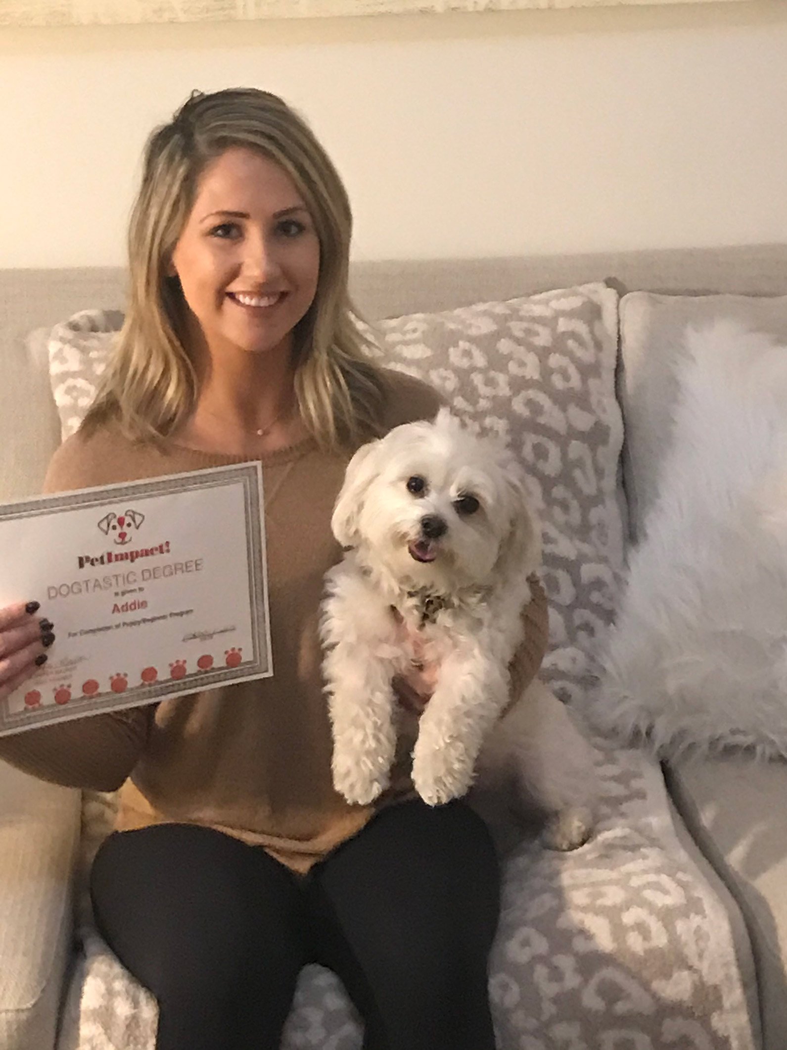 Dog Training Services | St. Louis, MO | PetImpact!