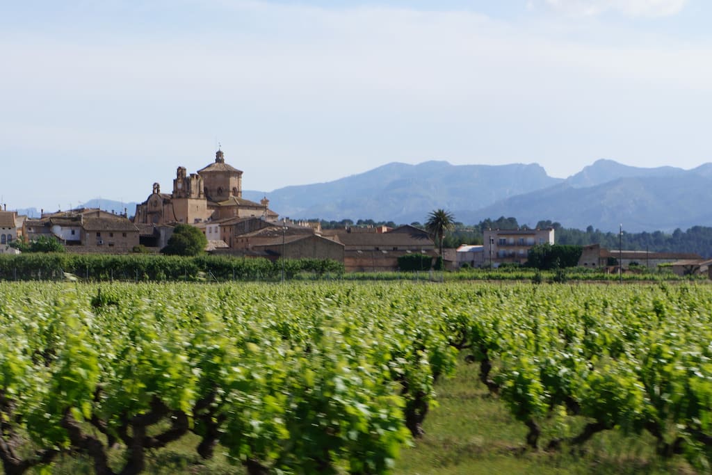 Properties river Ebro valley Catalonia and Costa Dorada