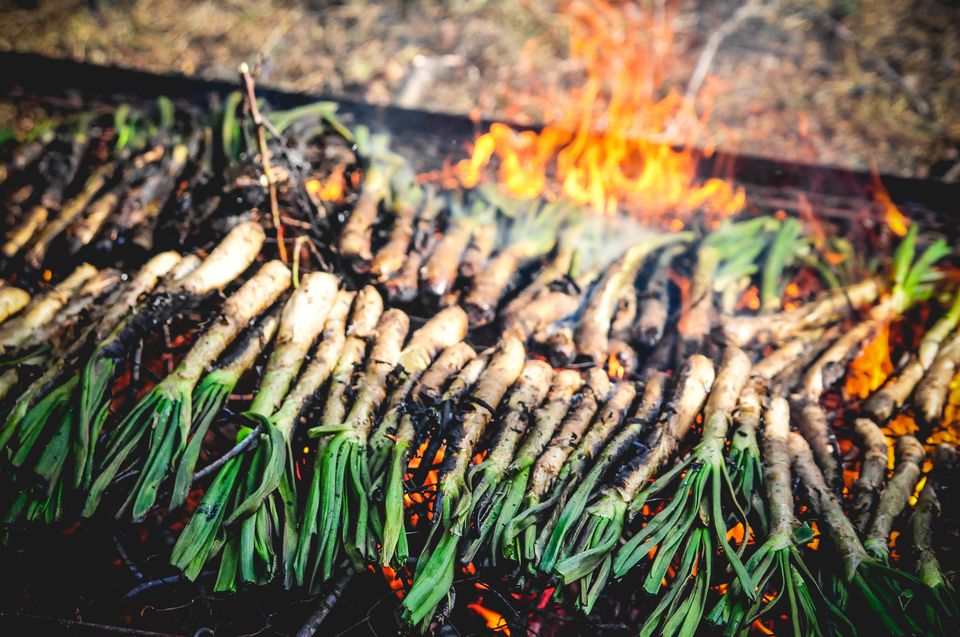 Calçots