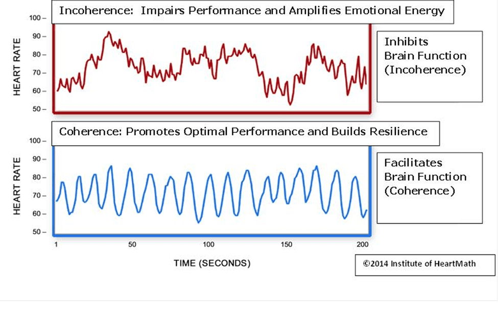 Deborah E. Sewitch, PhD, CPC - Heart Coherence Coach