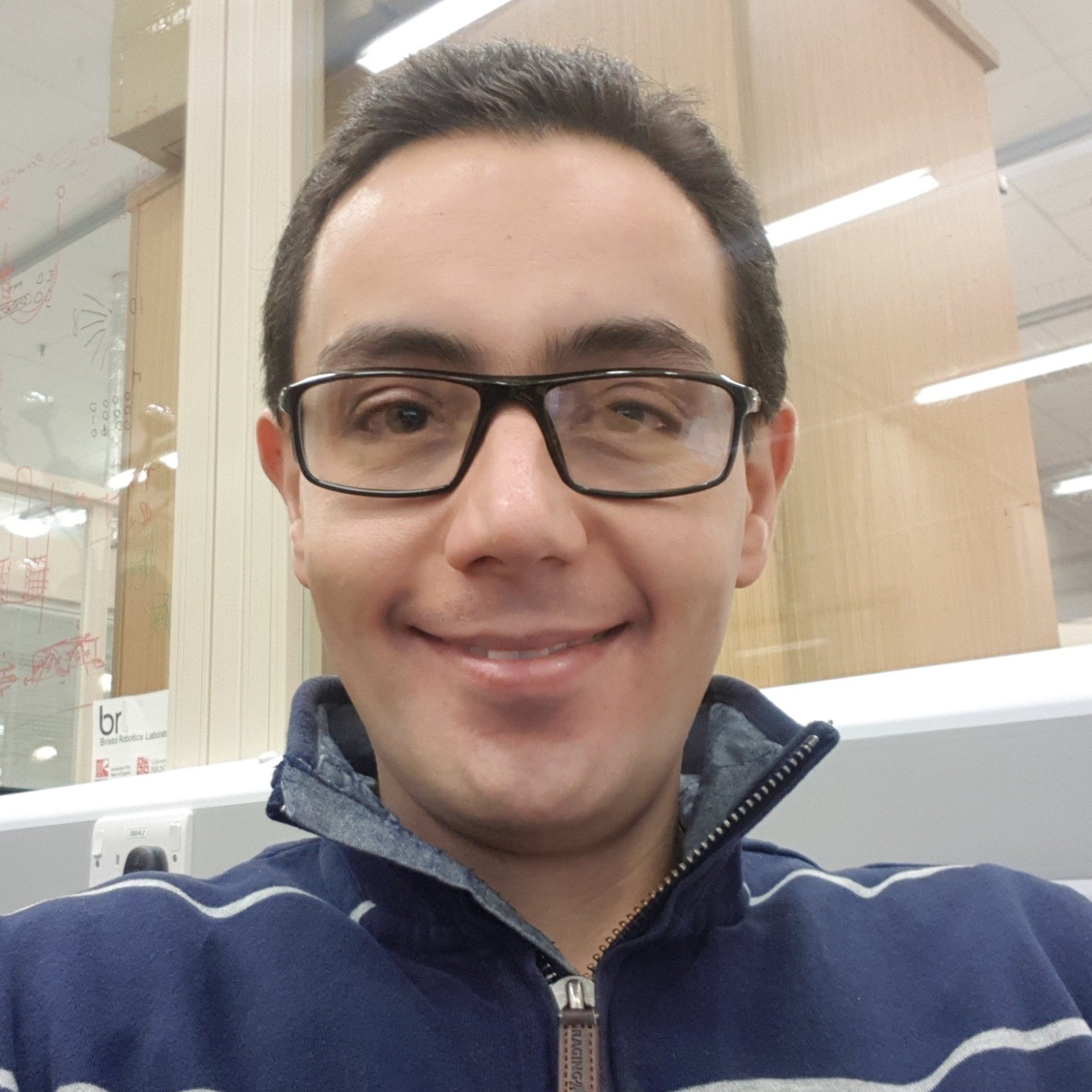 Robots for Hazardous Environments