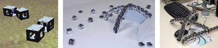 Swarm Robotics