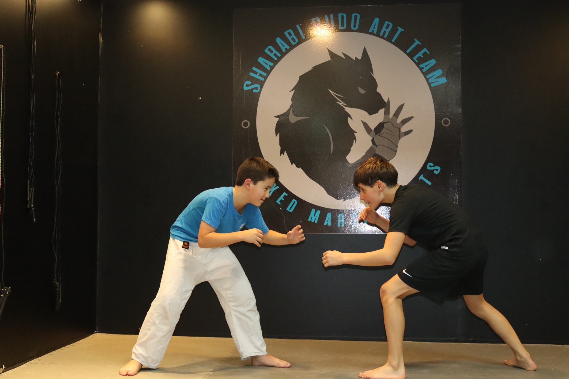 Budo art MMA | ראשי