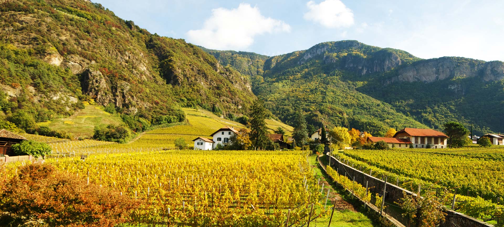 Impressionen aus dem Weindorf Terlan in Südtirol