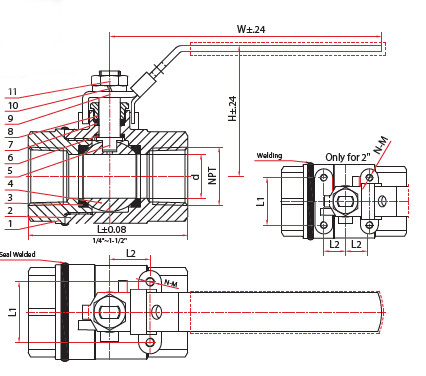 Seal Welded Threaded Ball Valves | Tiger Valve Company
