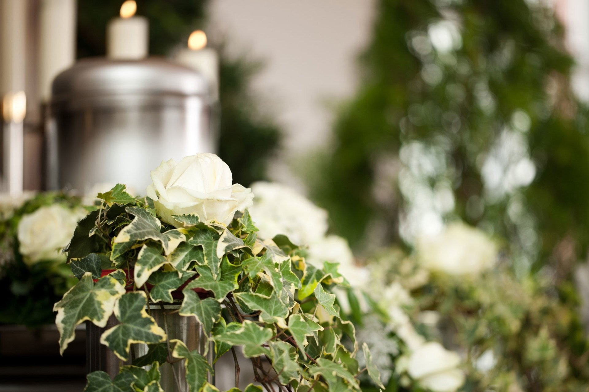 Crematorium for Scottsdale, AZ | Angels Cremation & Burial