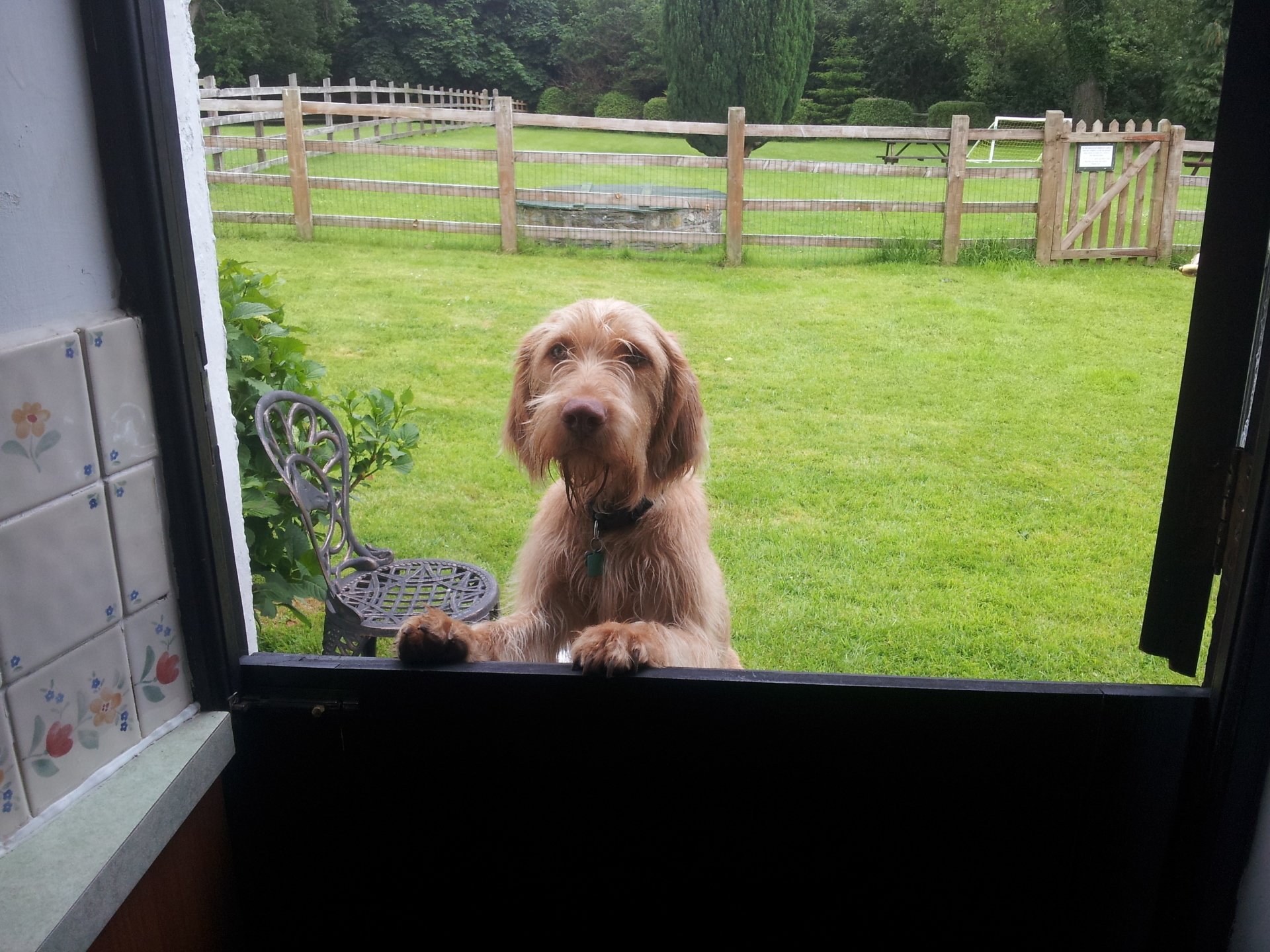 Dog Friendly Accommodation