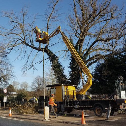 Tree surgeons | Arb-Core Tree Care Ltd