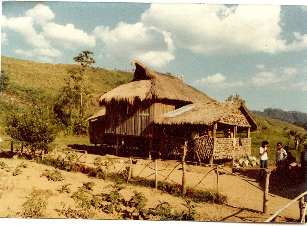 Sulads International