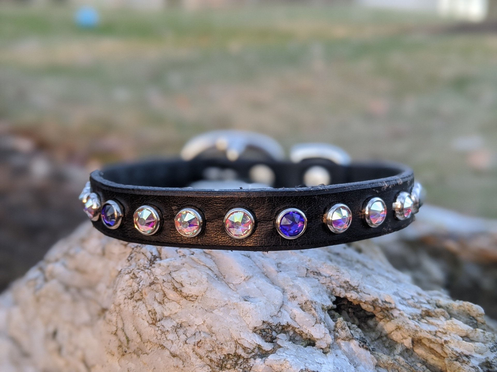 Dazzle Hound Collars - Bellville Ohio