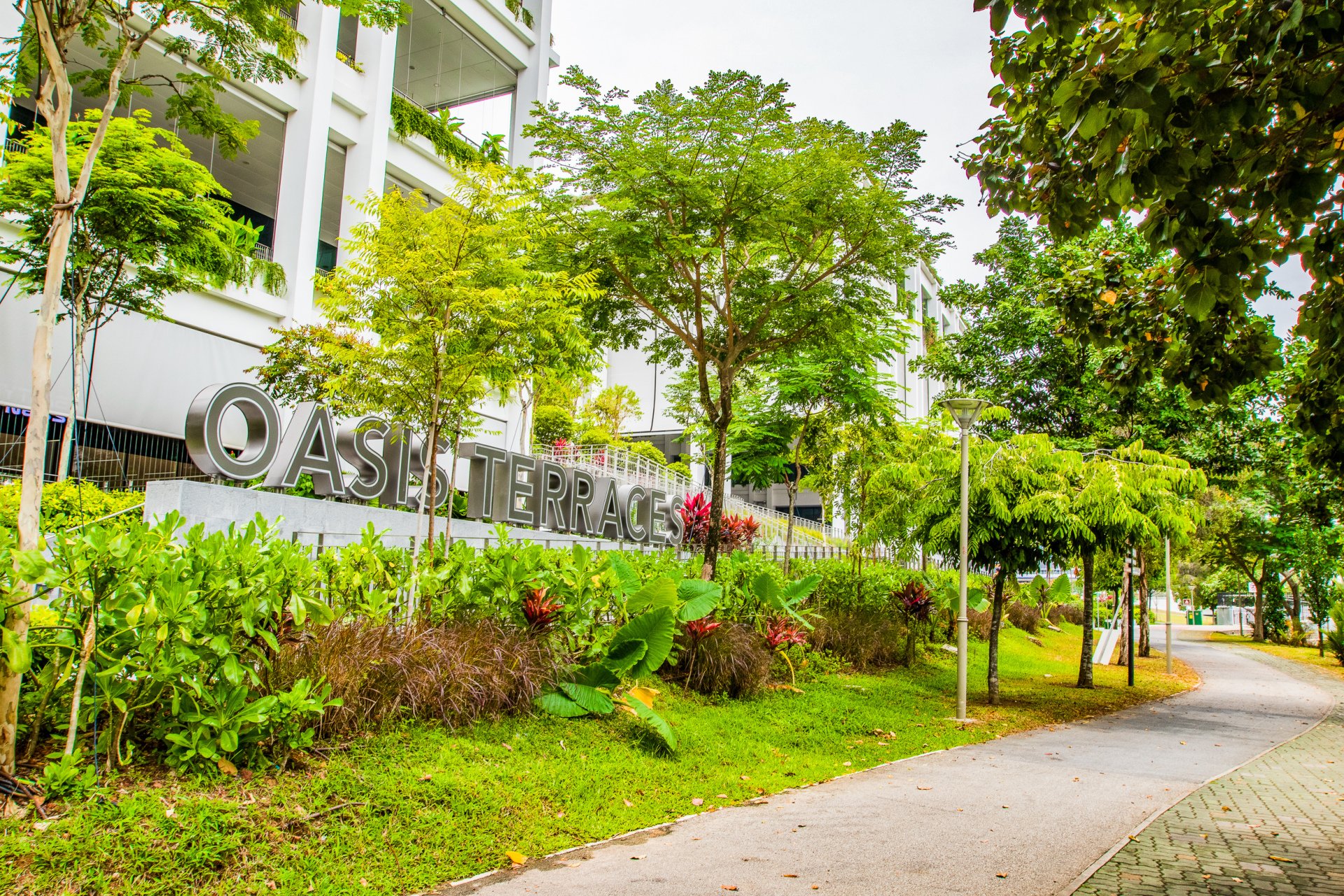 Nature Landscape - Portfolio - Oasis Terraces